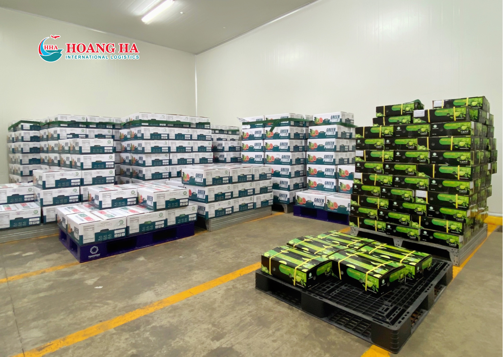 Vietnamese lemons exported to New Zealand for the first time are ...